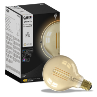 Alle Smart lampen E27 Alle led lampen E27 (grote fitting) 123led LED lamp E27 | Globe G125 | Dim ...